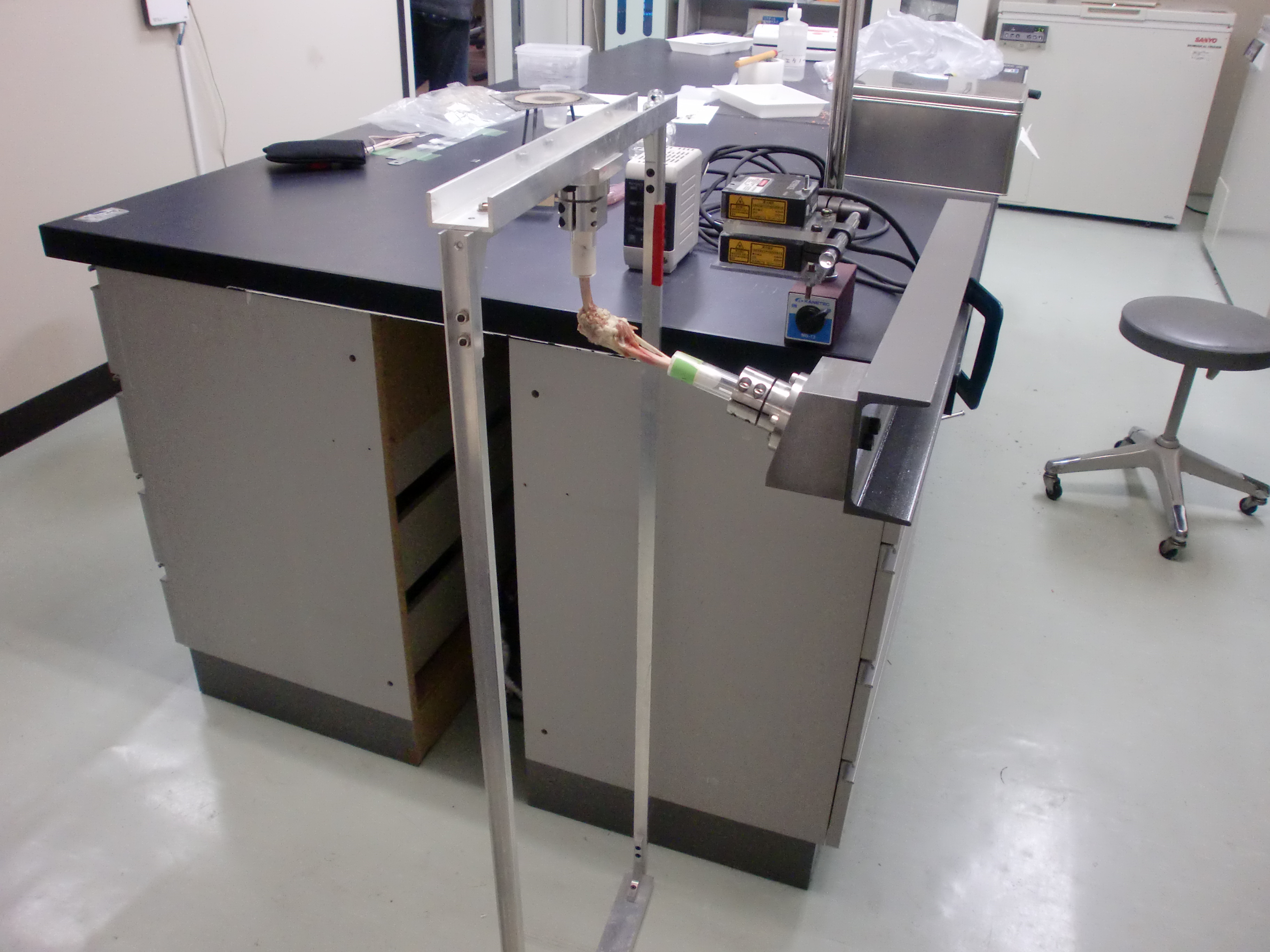 LBD – Laboratory of Biomechanical Design